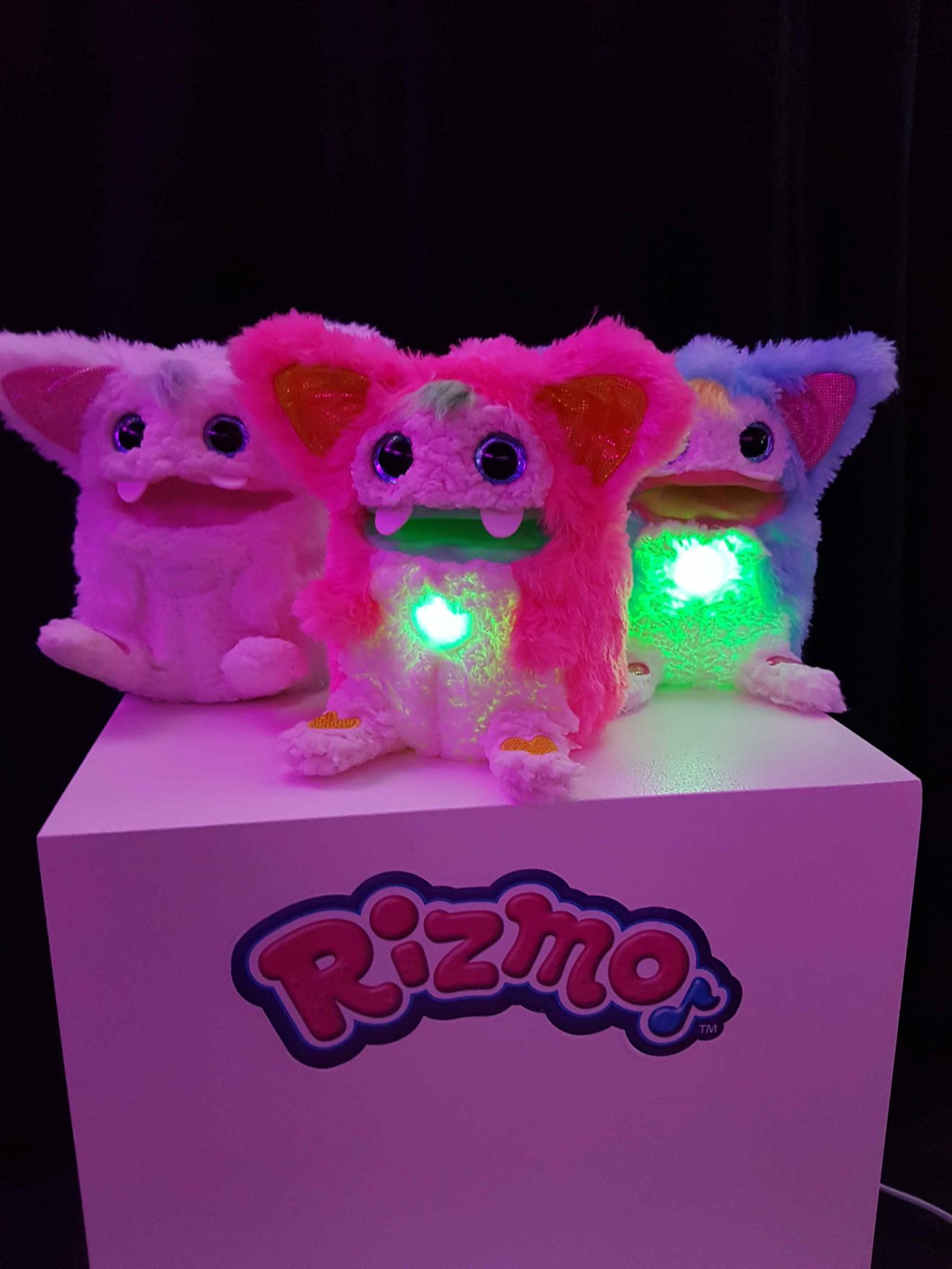 Rizmo : ton nouvel ami de Tomy ⋆ Maman jusqu'au bout des ongles